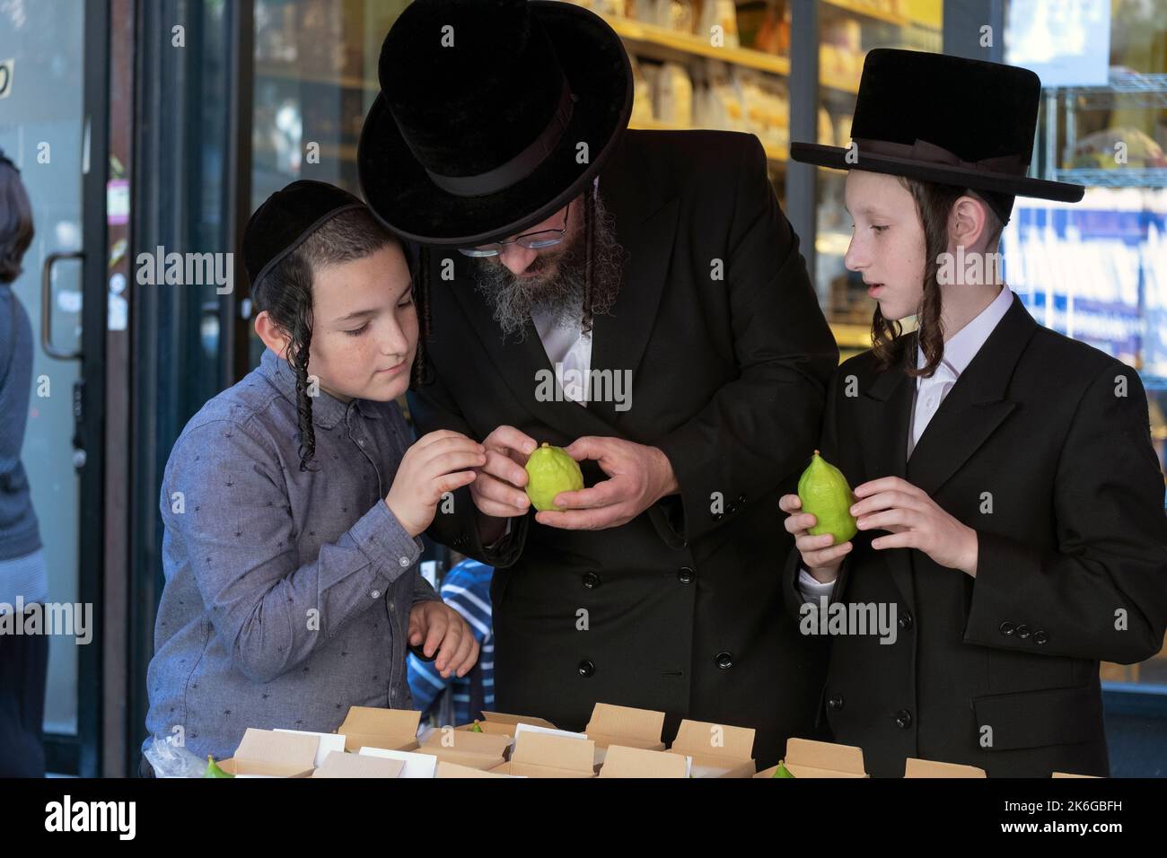 3 orthodox jews, presumably father & sons, prepare for Sukkos by ...