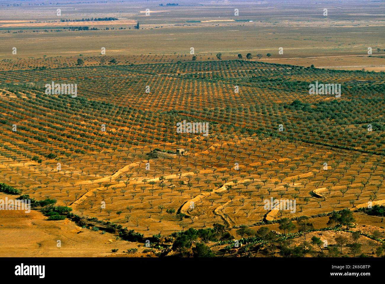 Enfidaville hi-res stock photography and images - Alamy