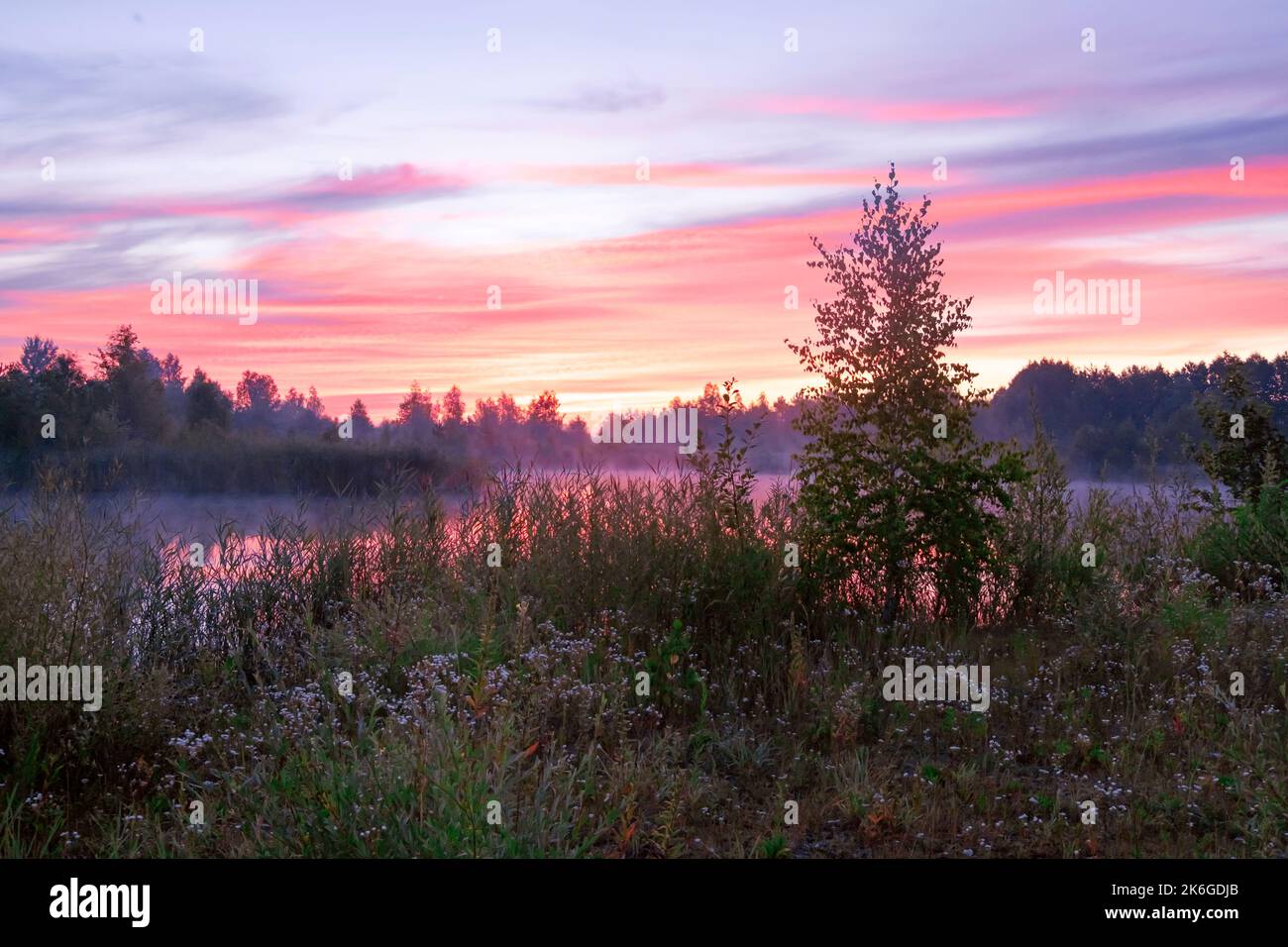 Magic colourful sunrise by the lake with morning fog. Silhouette of ...