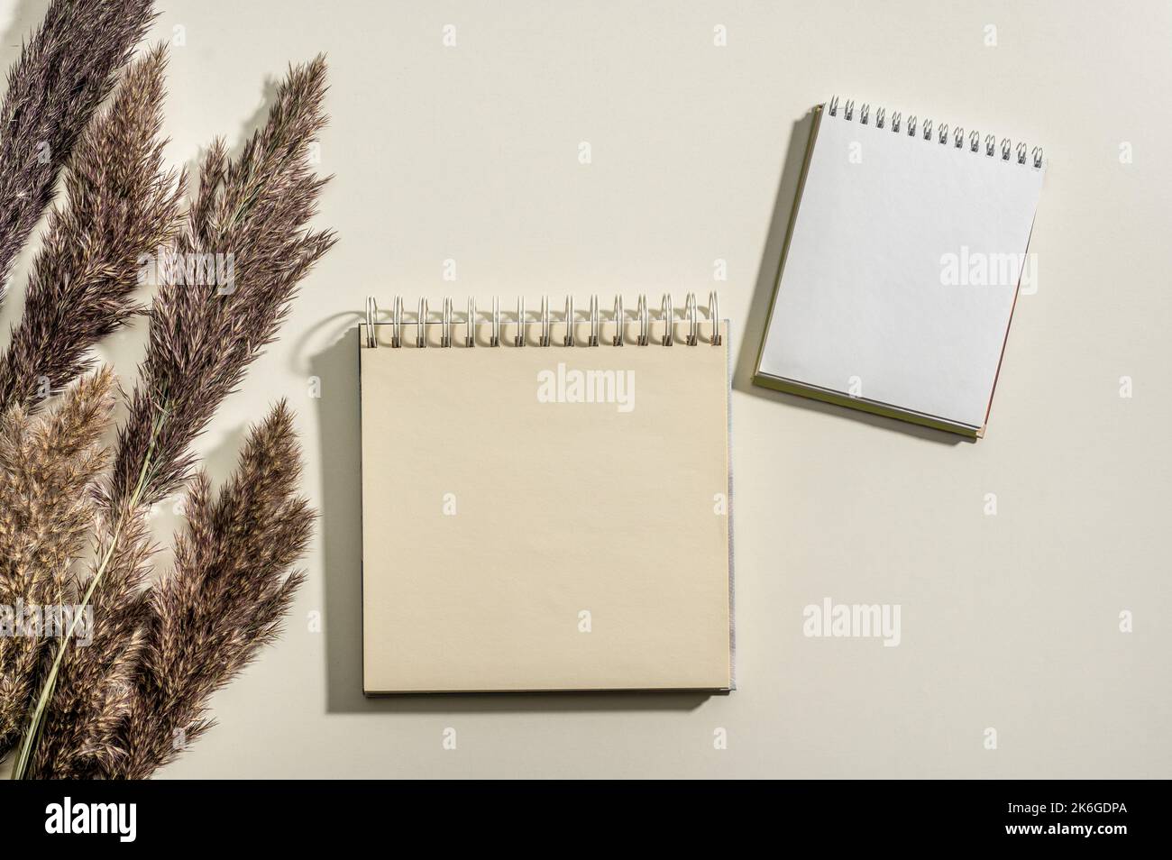 Blank paper, notepad sheets on beige background, top view. Mock up ...