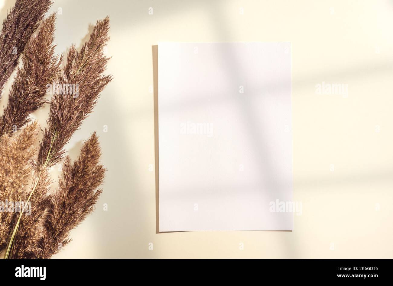 Blank vertical paper A4, invitation mockup, flat lay. Dry grass ...