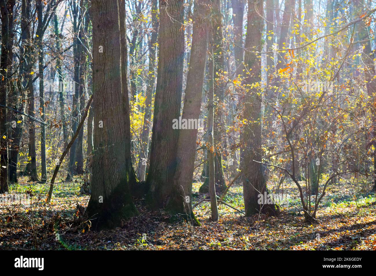 Reducing depression hi-res stock photography and images - Alamy