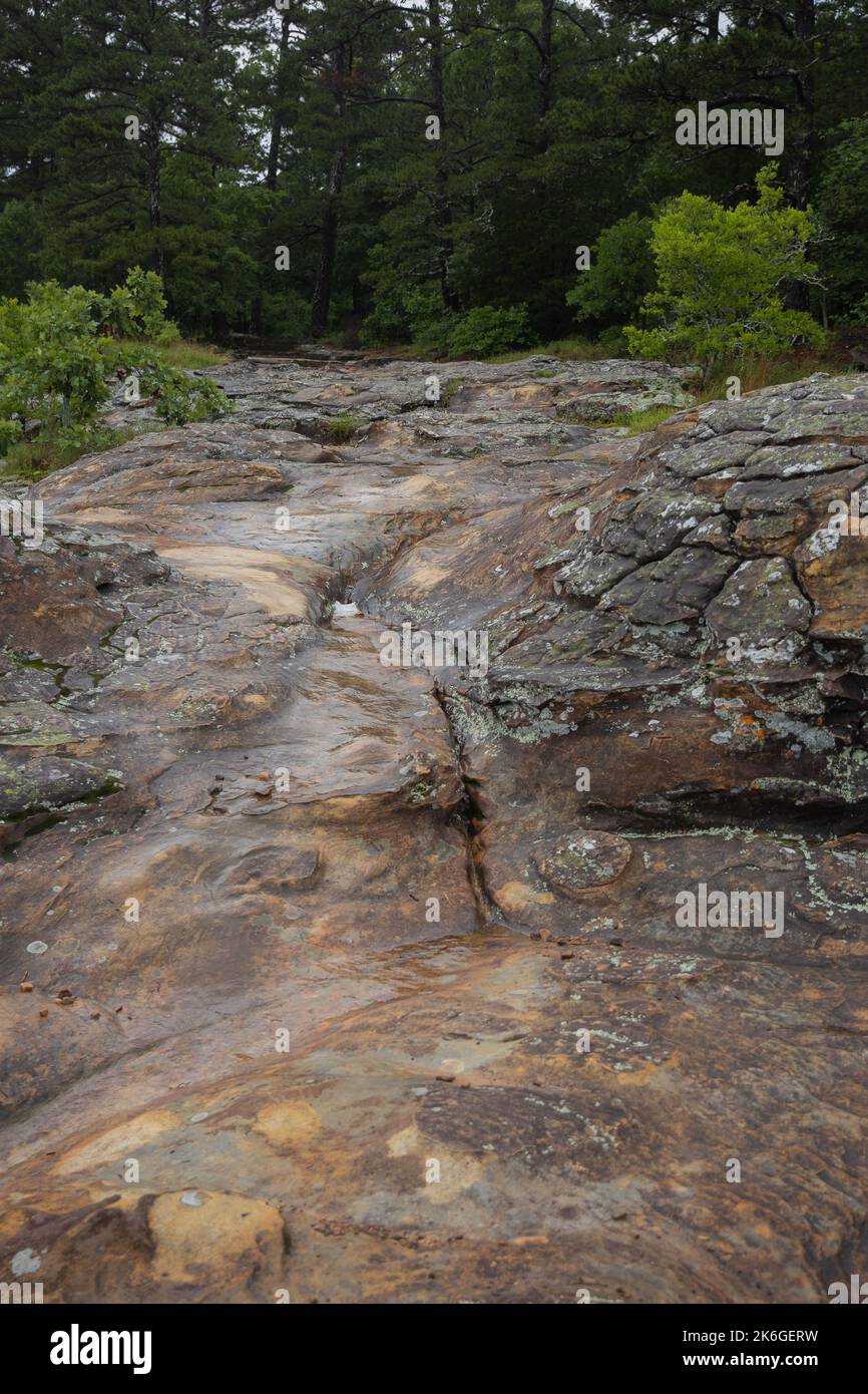 Bushes in streambed hi-res stock photography and images - Alamy