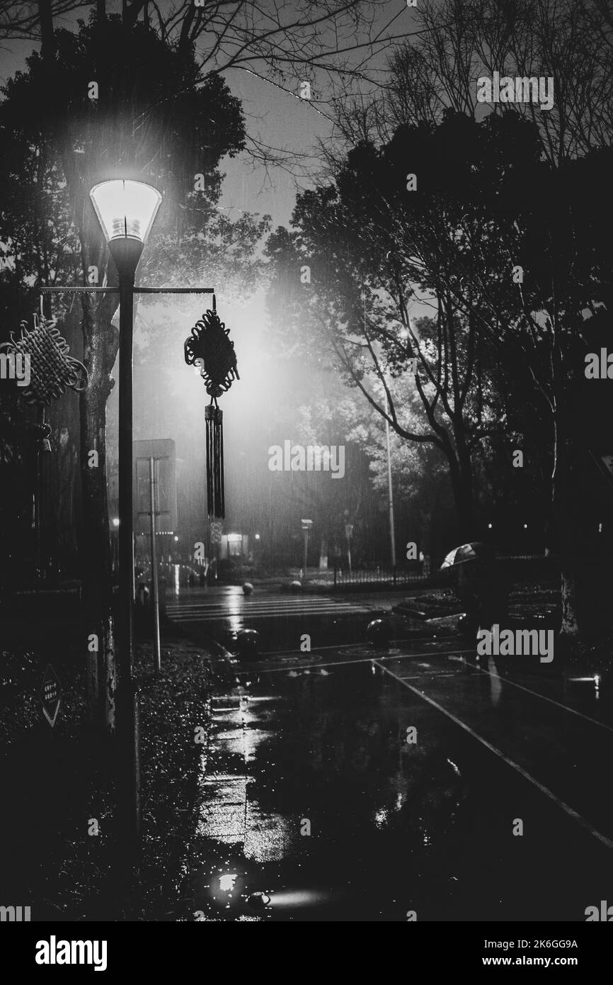 A vertical monochrome shot of a person walking with an umbrella along ...