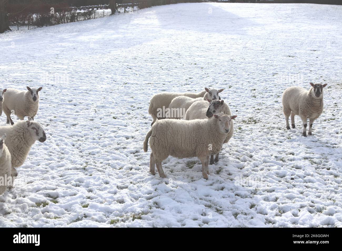 Welsh mountain winter scene in rural Wales Stock Photo - Alamy