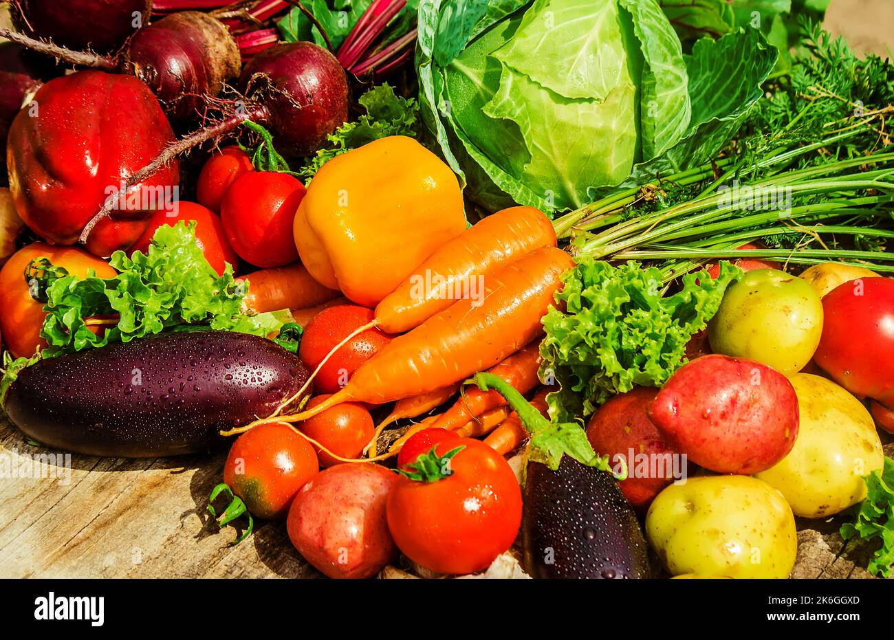Different bio vegetables. Selective focus. food and drink Stock Photo ...