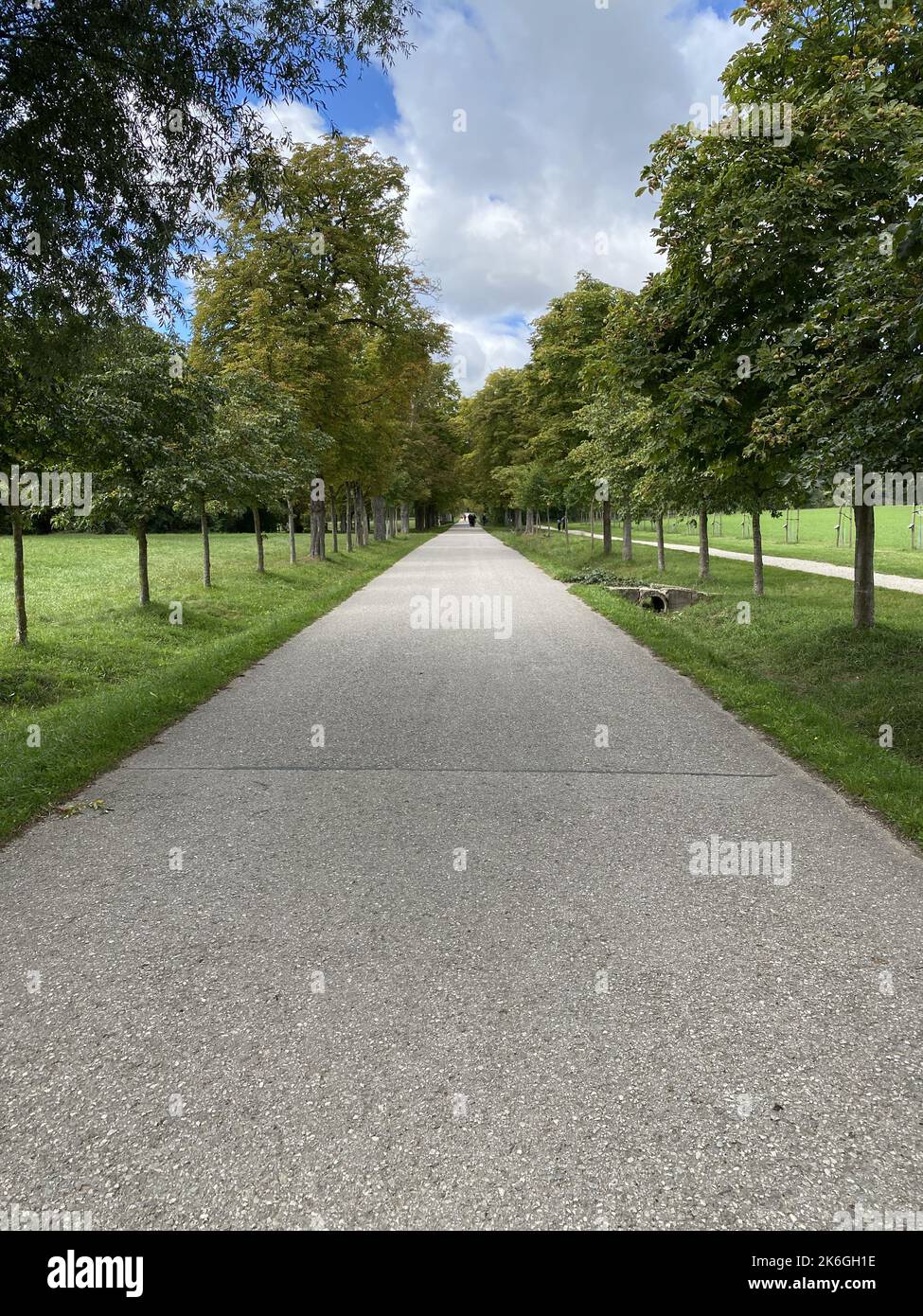 Path In Lainzer Zoo Stock Photo - Alamy