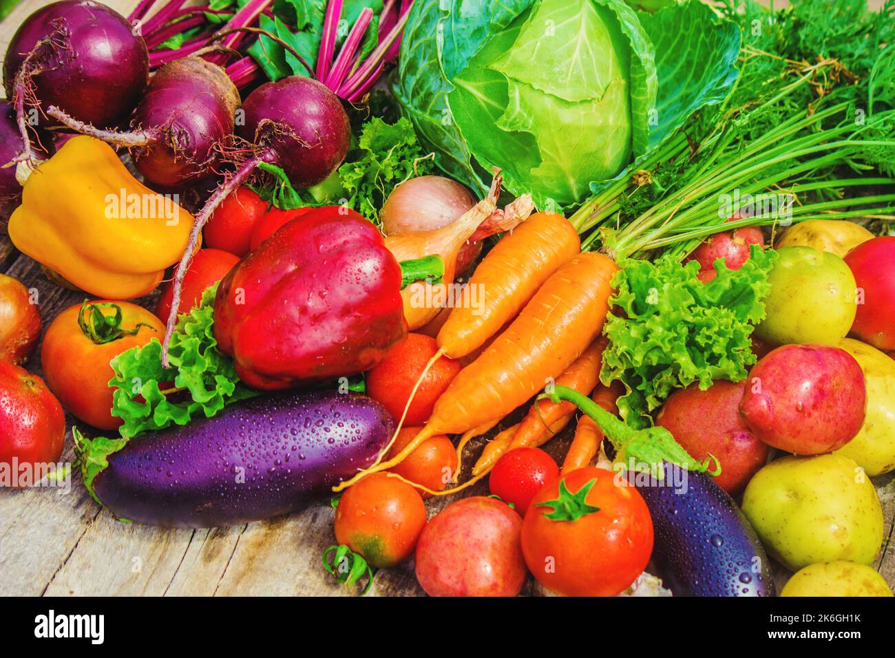 Different bio vegetables. Selective focus. food and drink Stock Photo ...