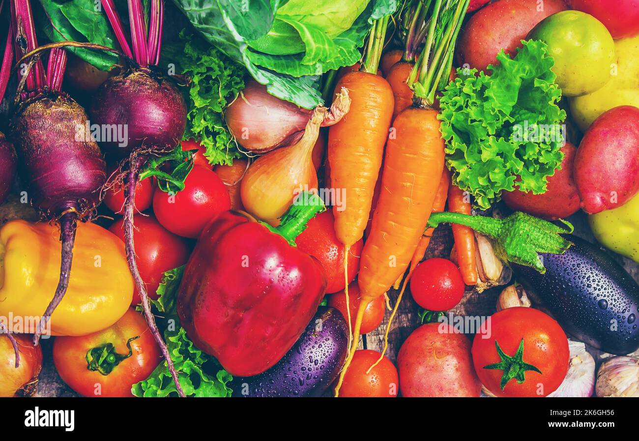 Different bio vegetables. Selective focus. food and drink Stock Photo ...