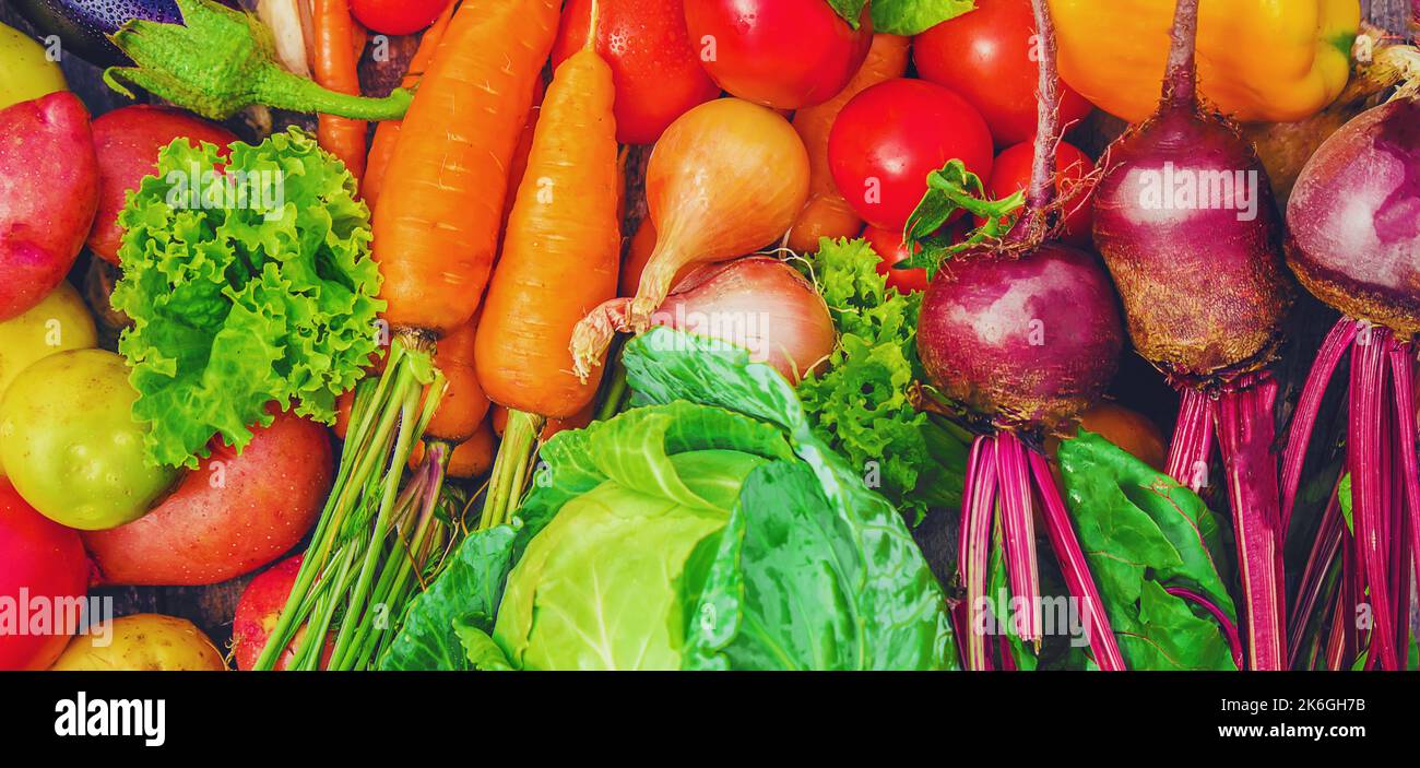 Different bio vegetables. Selective focus. food and drink Stock Photo ...