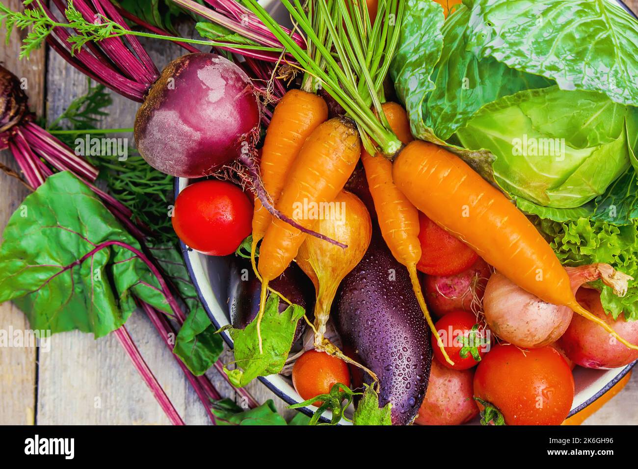 Different bio vegetables. Selective focus. food and drink Stock Photo ...