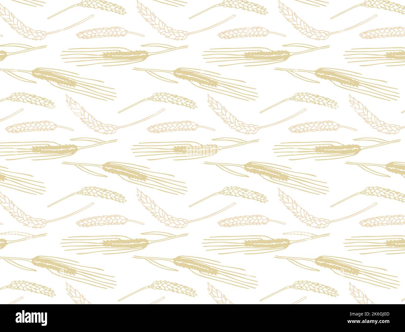 Spring wheat in golden colors pattern no background Stock Vector Image ...