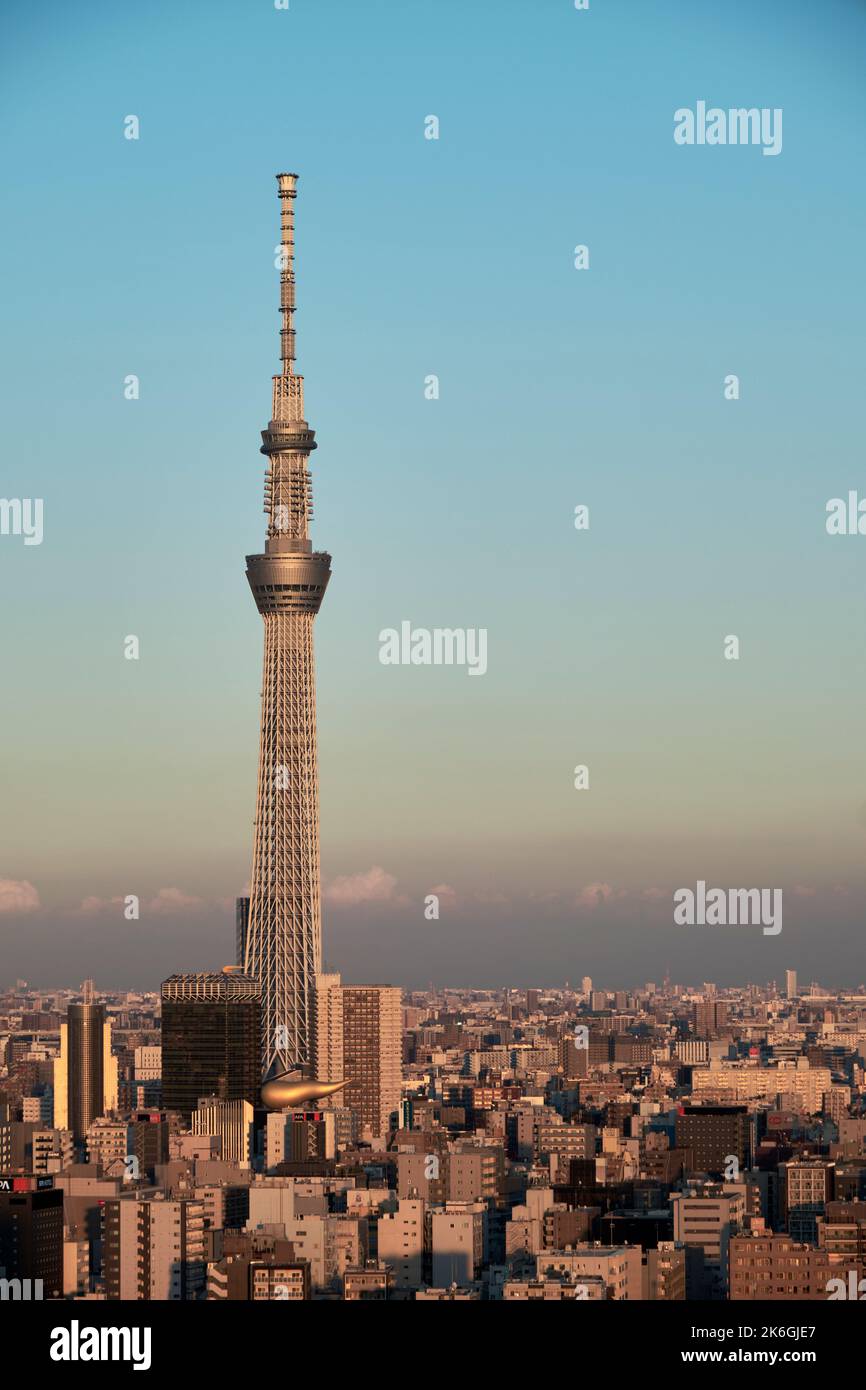 An arial vertical shot of the high-rise buildings and Skytree tower in ...