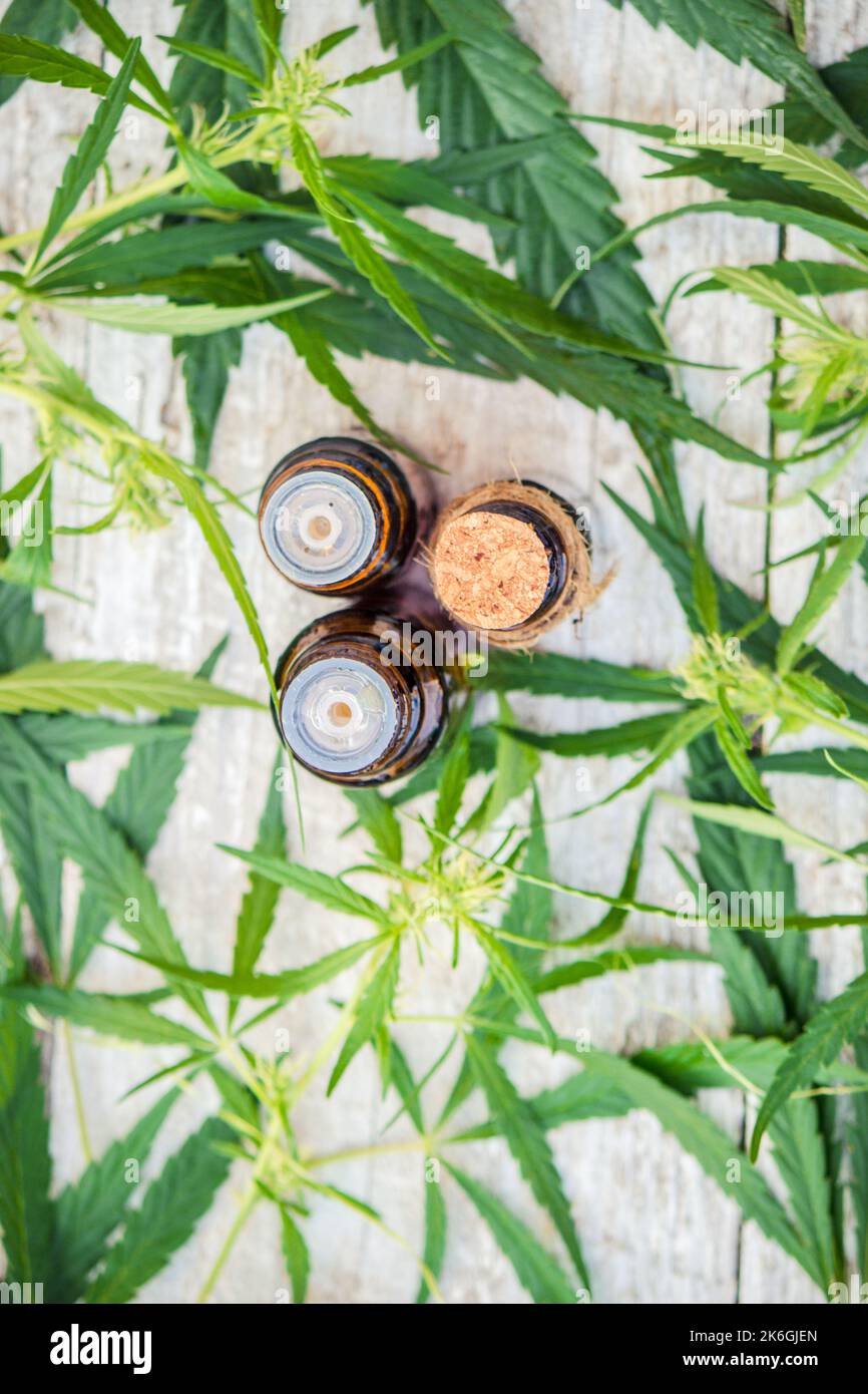 Cannabis herb and leaves for treatment broth, tincture, extract, oil ...