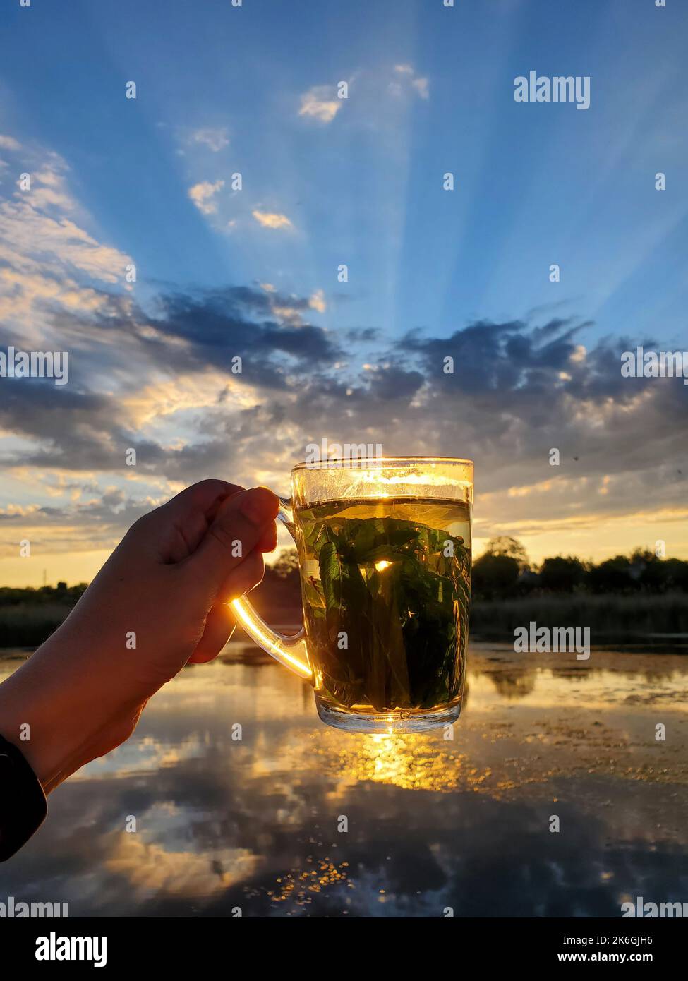 A woman's hand holds a glass cup of mint green tea against scenery ...