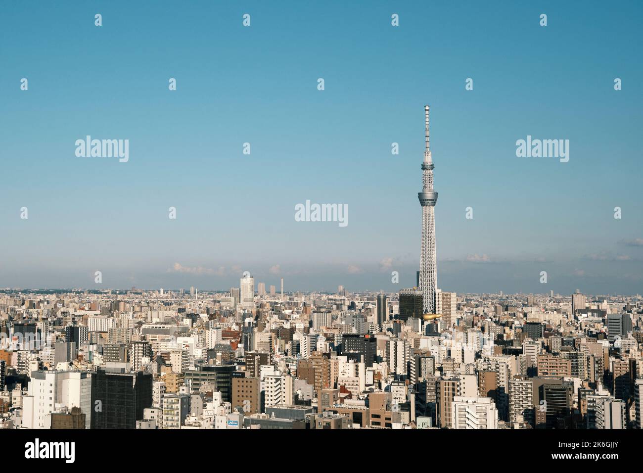 An arial shot of the high-rise buildings and Skytree tower in Tokyo ...