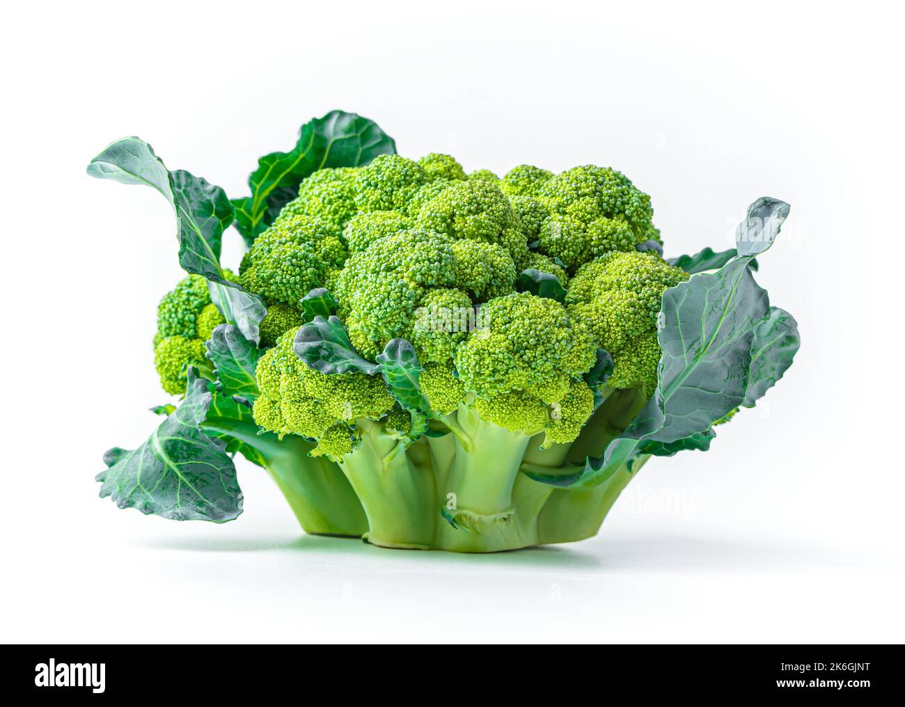 The inflorescence of ripe green broccoli is isolated on a white ...