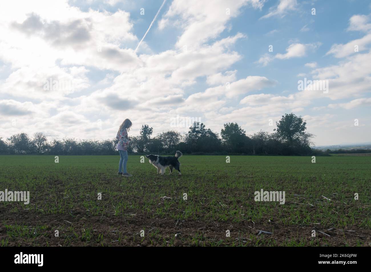 girl training a dog in windy weather in cloudy afternoon in autumn time Stock Photo - Alamy