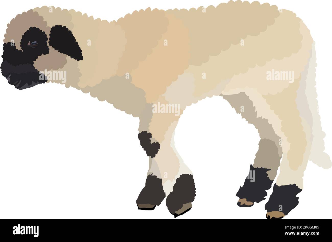 Cartoon happy lamb isolated on white background farm animals Stock ...