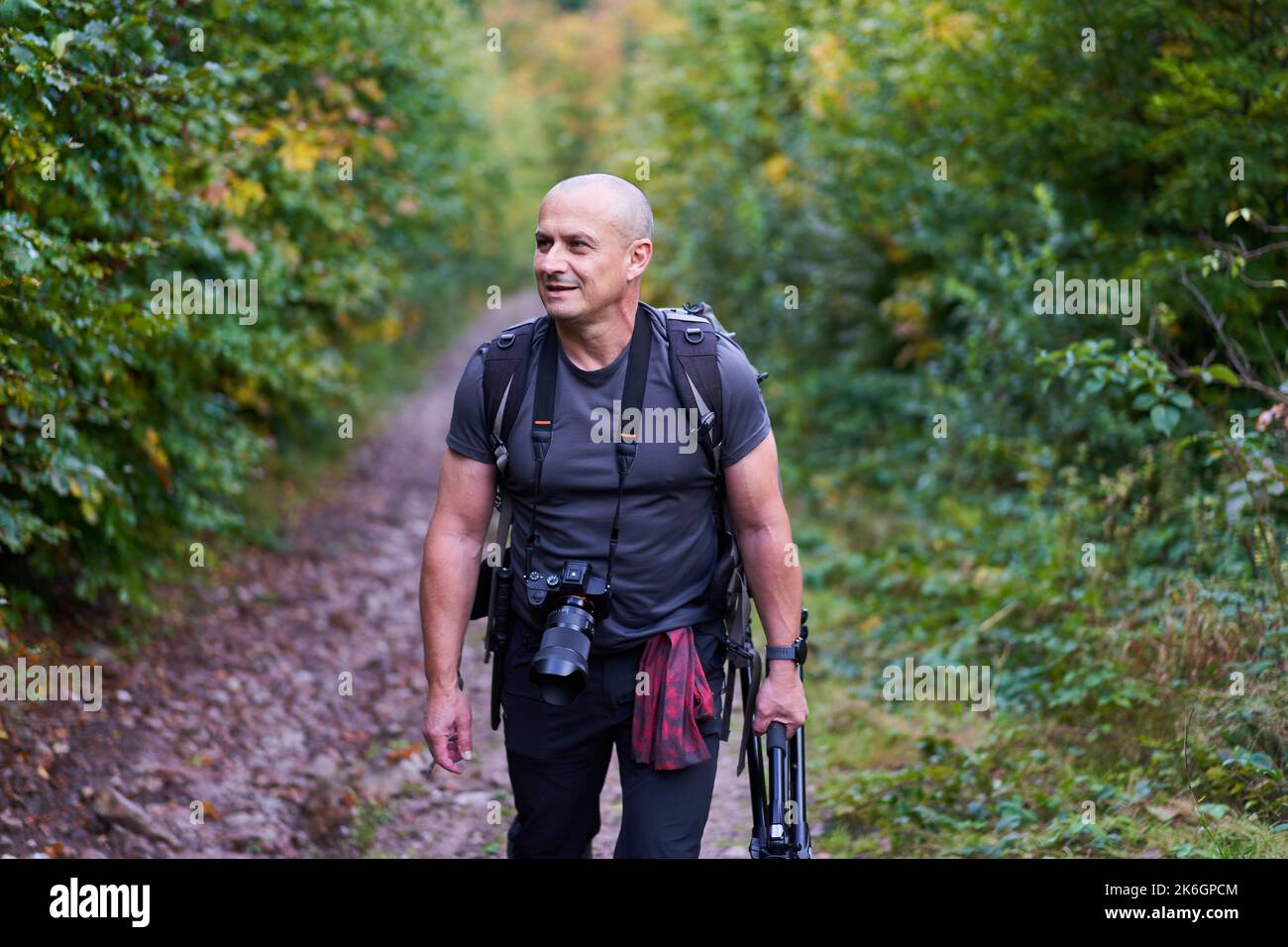 Professional nature photographer hiking in the mountain forests with ...