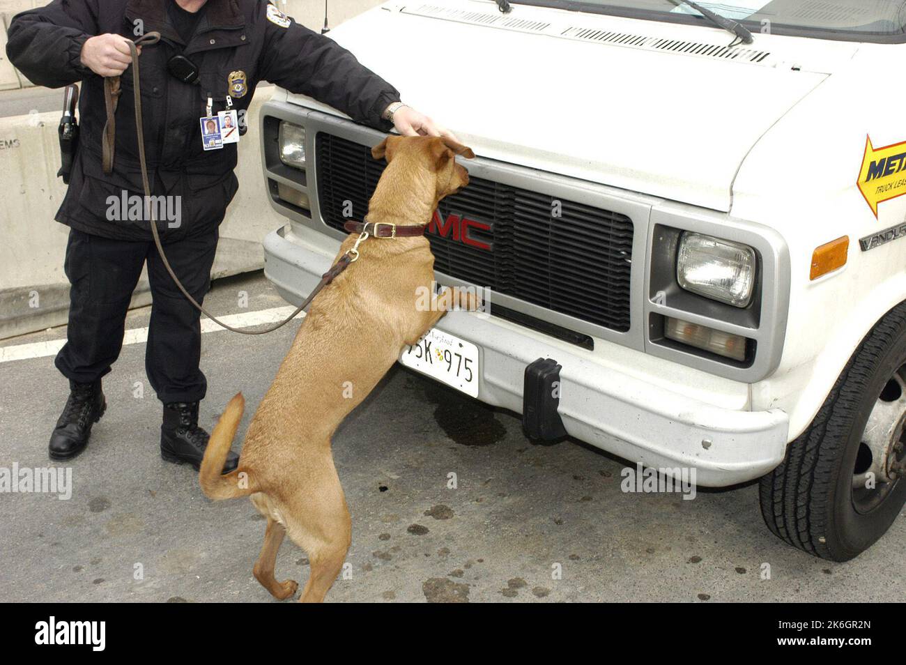 Security personnel with bomb detecting dogs in action around sidewalks ...