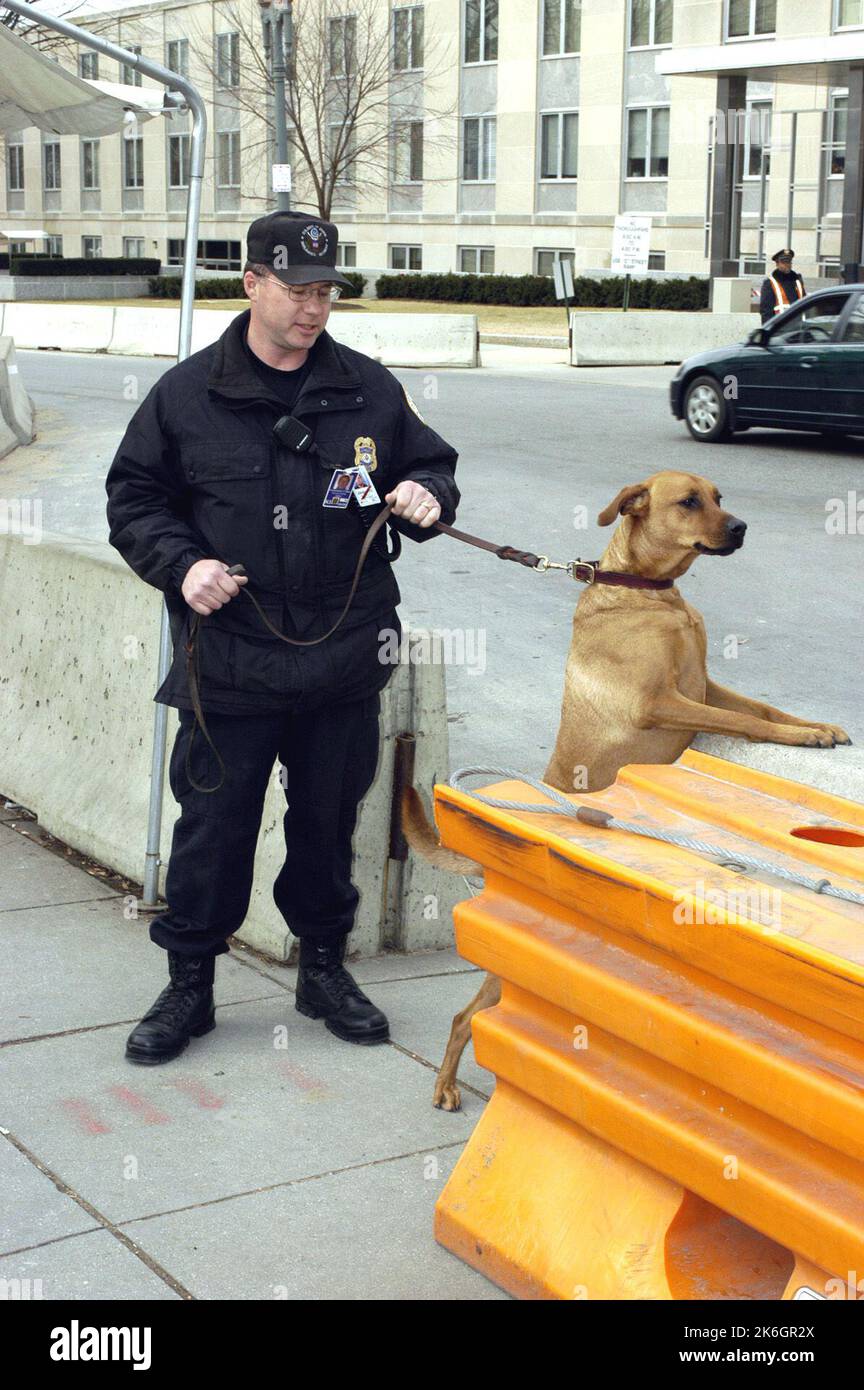 Security personnel with bomb detecting dogs in action around sidewalks ...