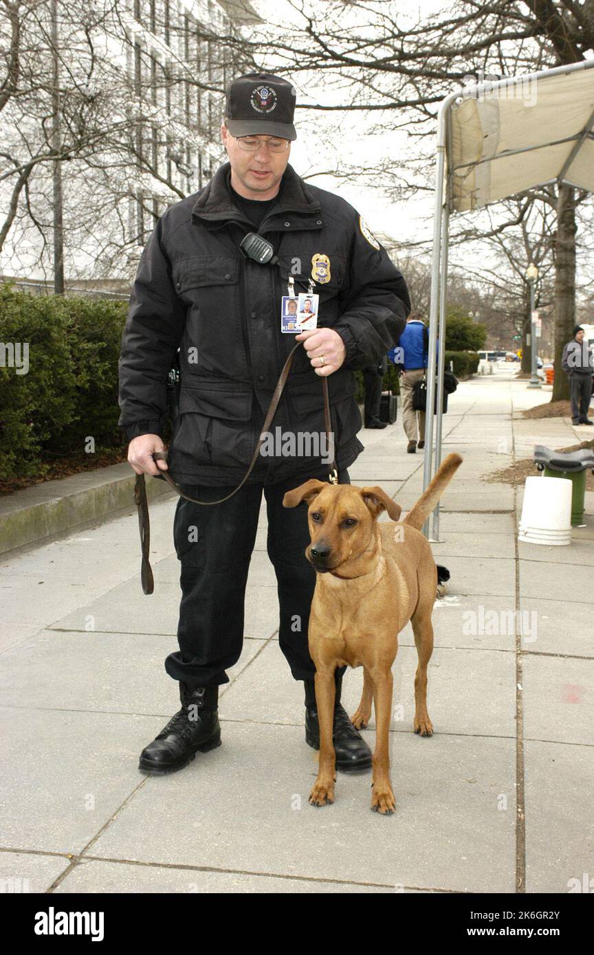 Security personnel with bomb detecting dogs in action around sidewalks ...