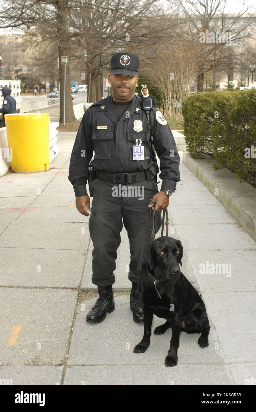 Security personnel with bomb detecting dogs in action around sidewalks ...