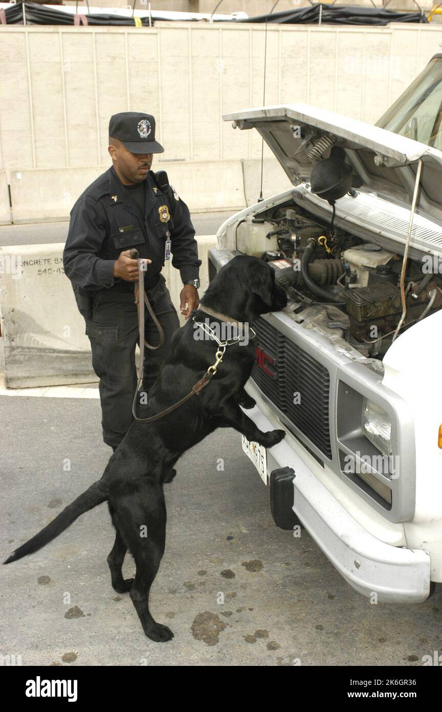 Security personnel with bomb detecting dogs in action around sidewalks ...