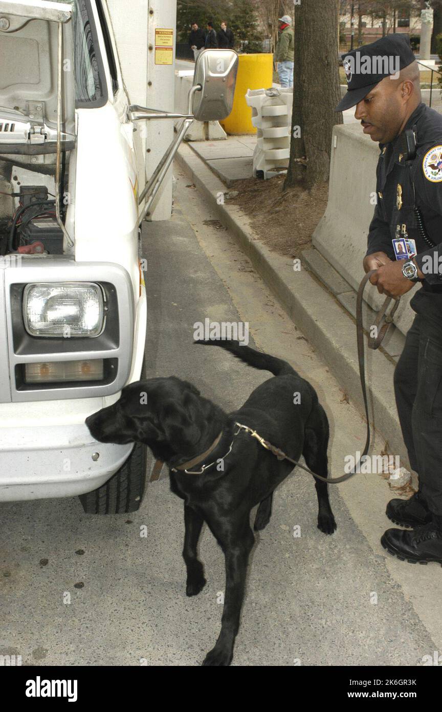 Security personnel with bomb detecting dogs in action around sidewalks ...