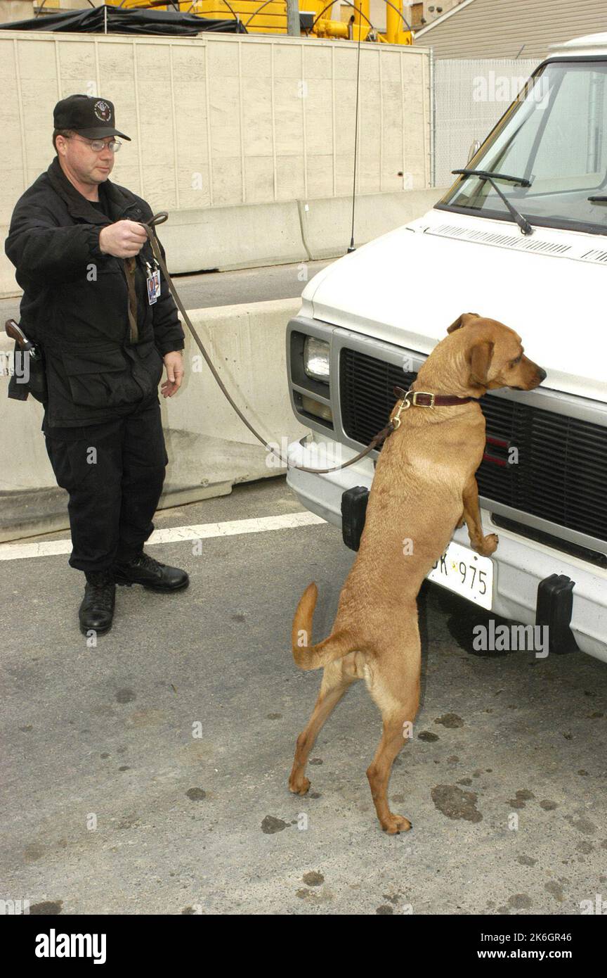 Security personnel with bomb detecting dogs in action around sidewalks ...