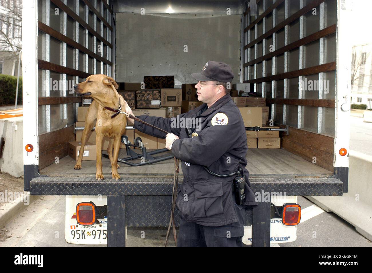 Security personnel with bomb detecting dogs in action around sidewalks ...