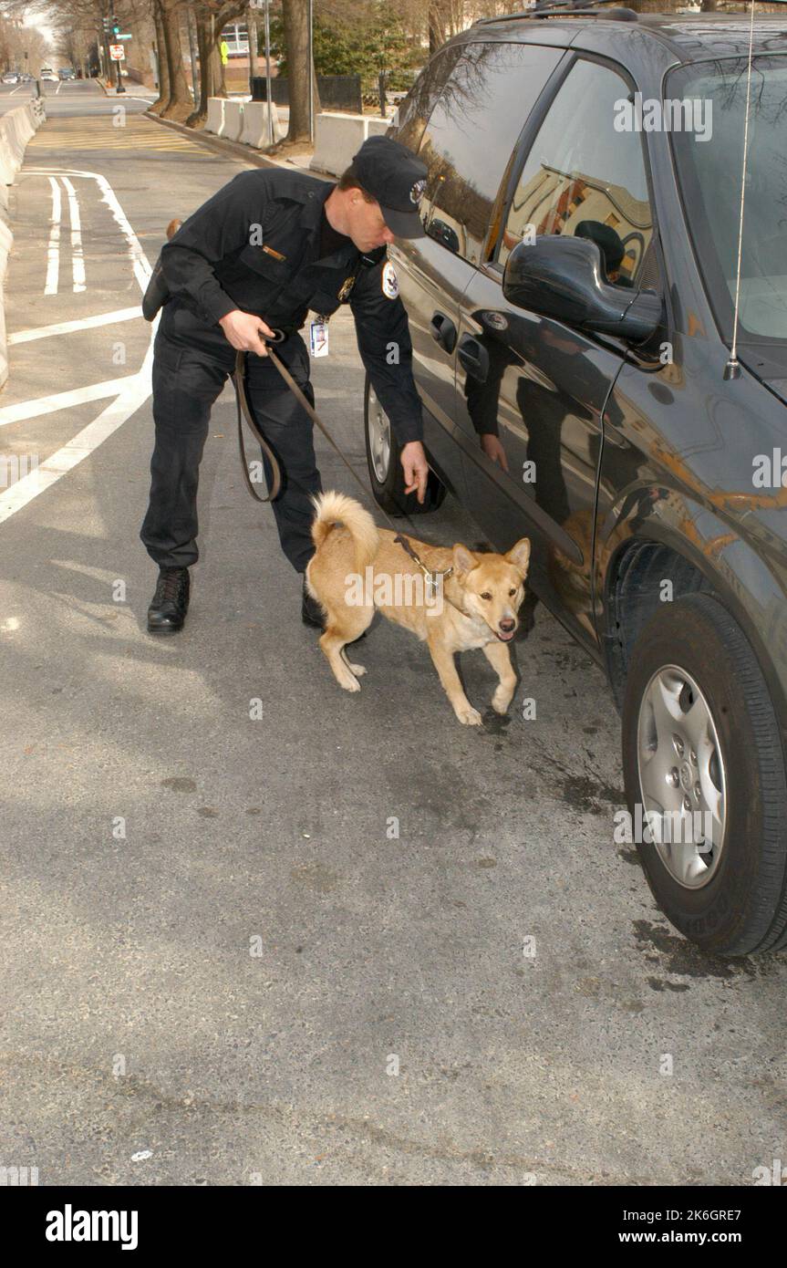 Security personnel with bomb detecting dogs in action outside 21st ...