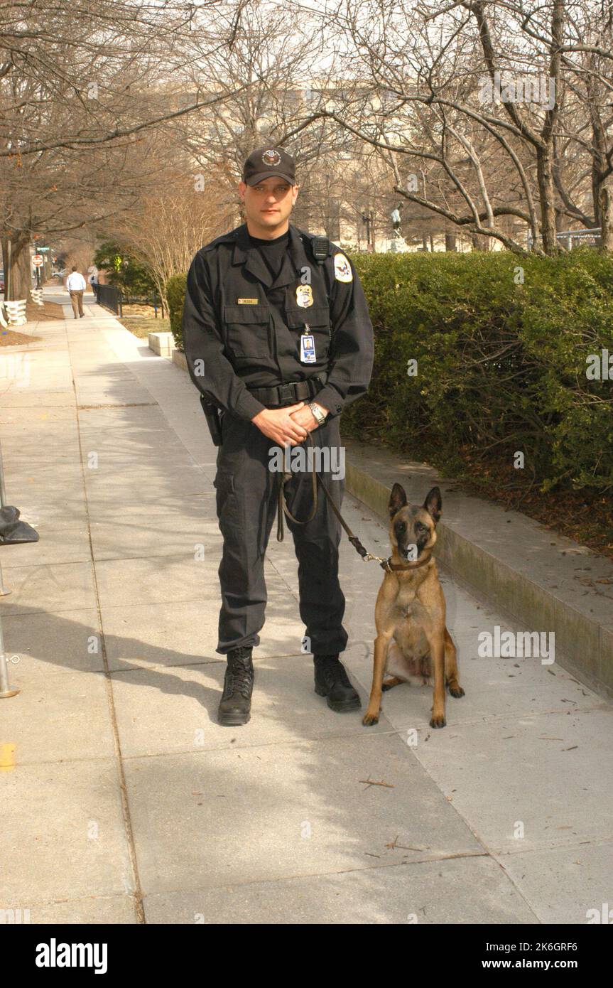 Security personnel with bomb detecting dogs in action outside 21st ...