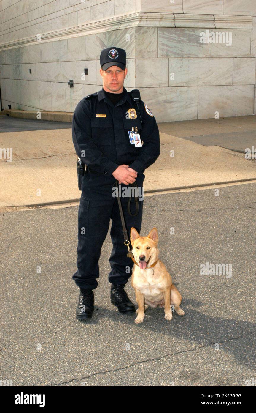 Security personnel with bomb detecting dogs in action outside 21st ...