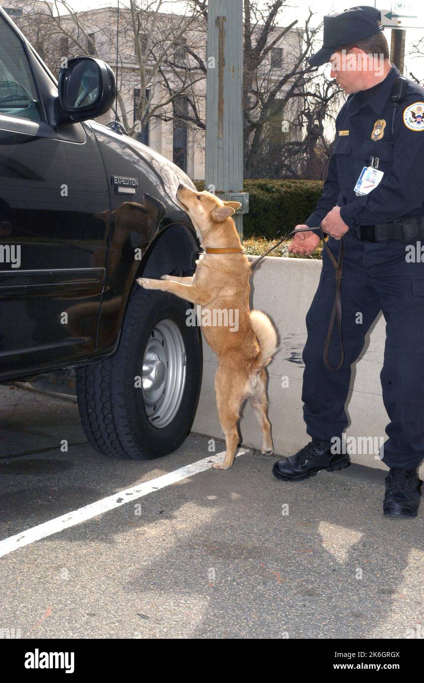 Security personnel with bomb detecting dogs in action outside 21st ...
