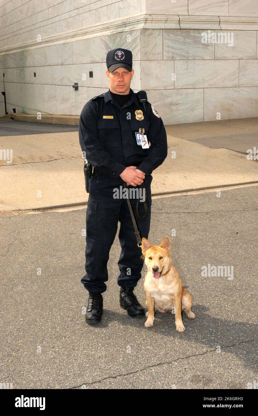 Security personnel with bomb detecting dogs in action outside 21st ...