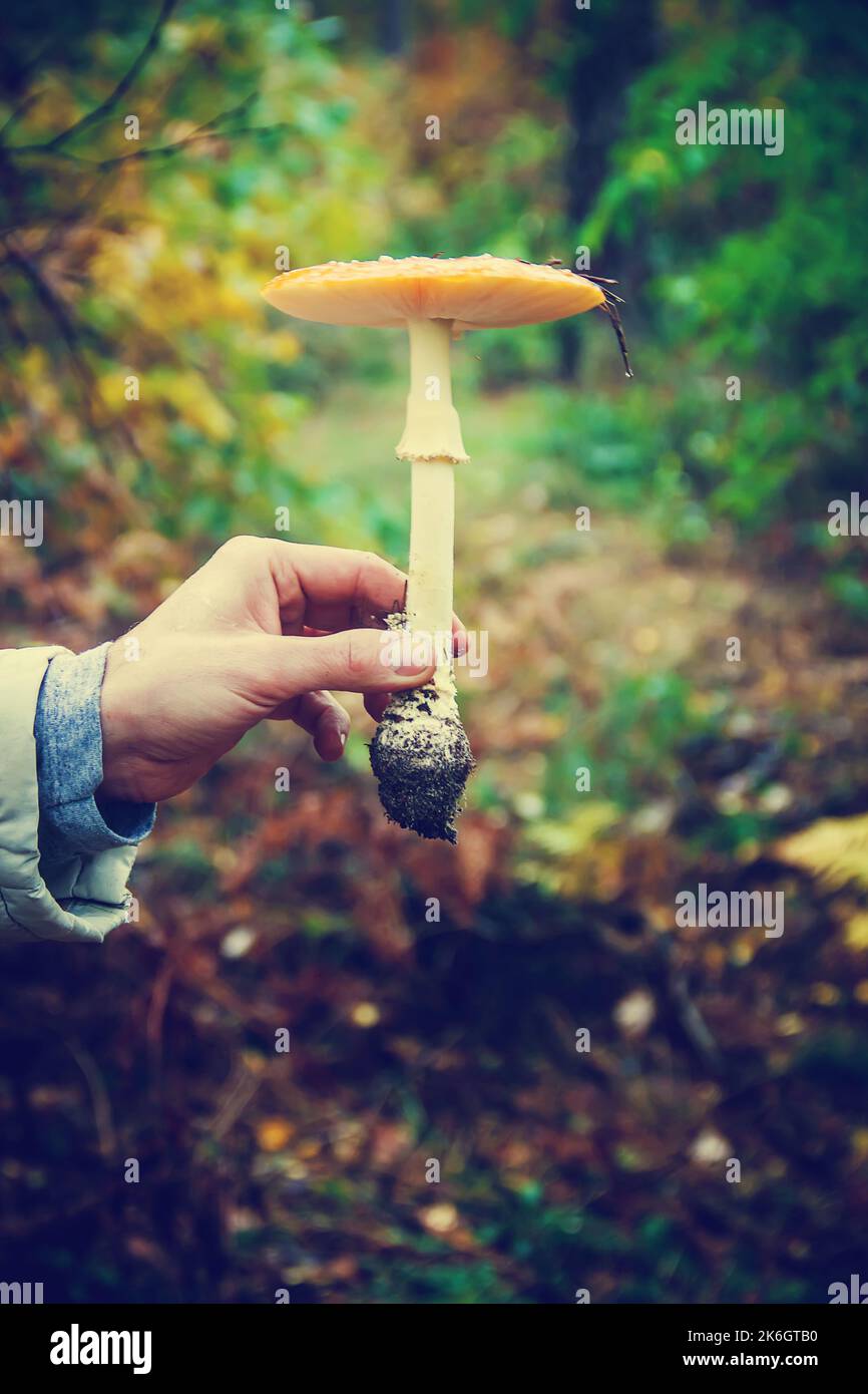 Impossible Nature Pictures
