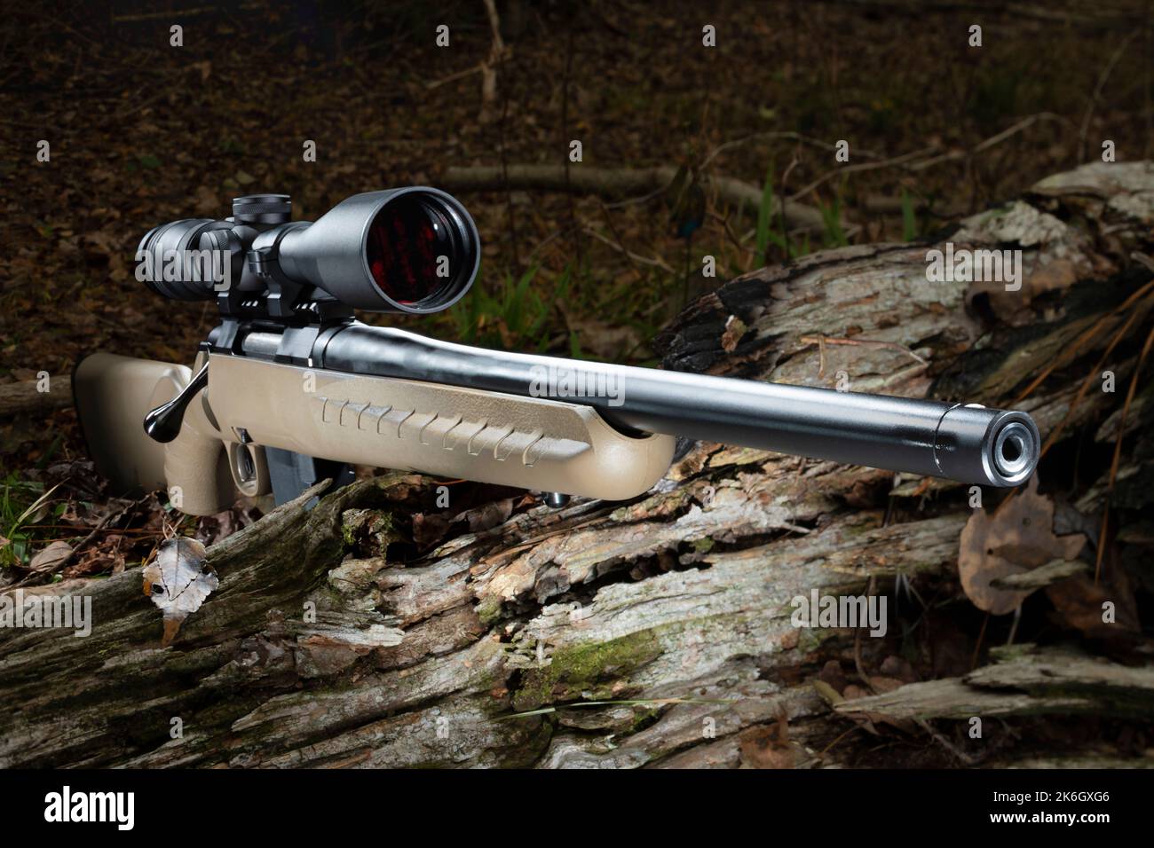 Bolt action hunting with a high powered scope in a forest Stock Photo ...