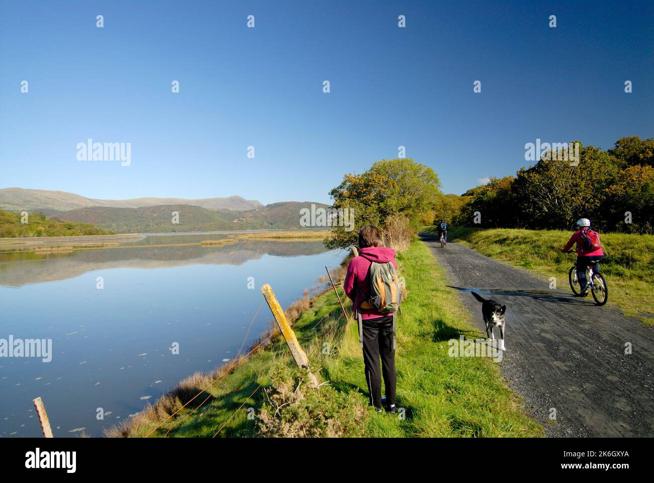 Mawddach railway trail in the snowdonia national park hi-res stock ...