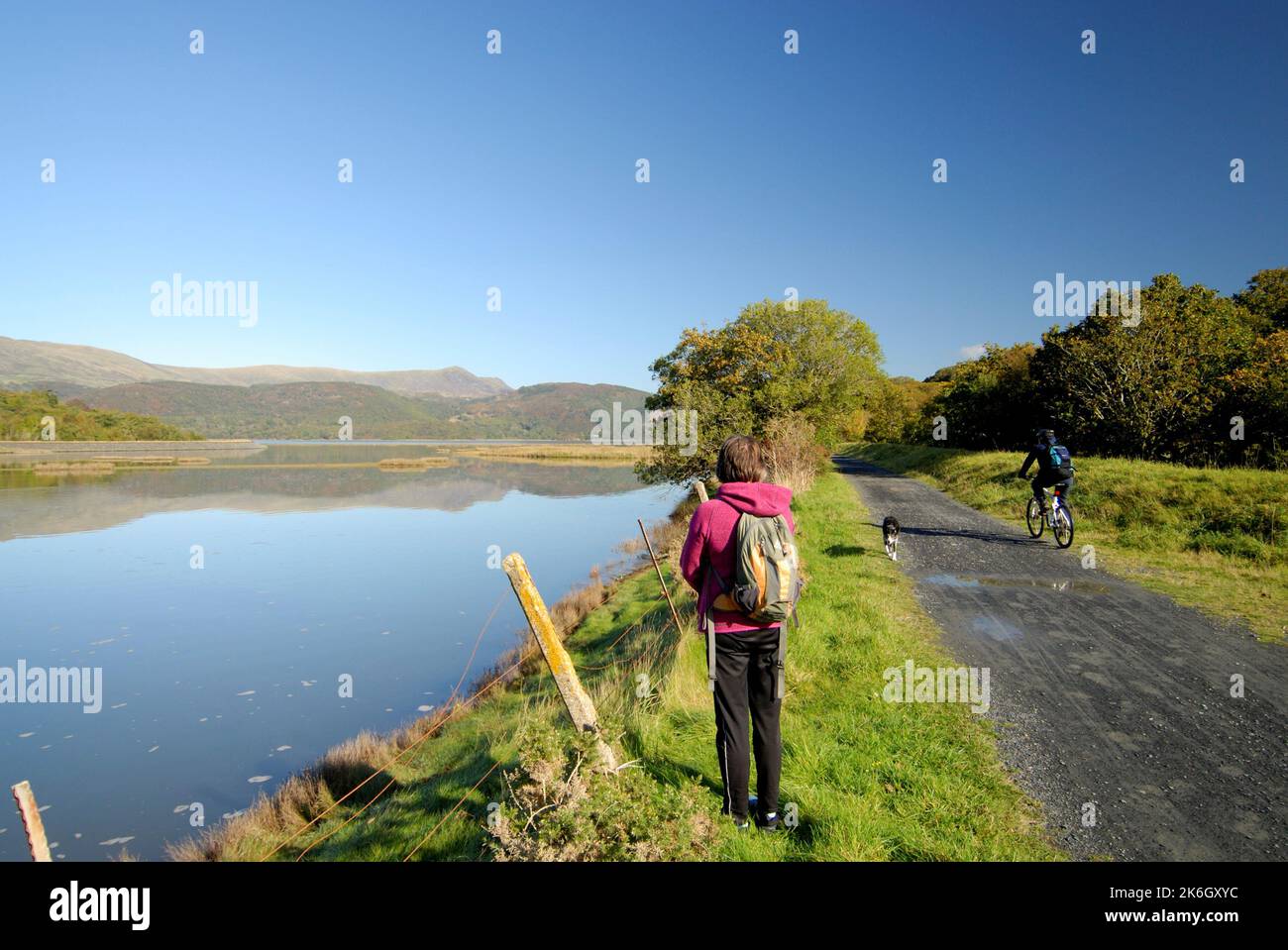 Mawddach railway trail in the snowdonia national park hi-res stock ...