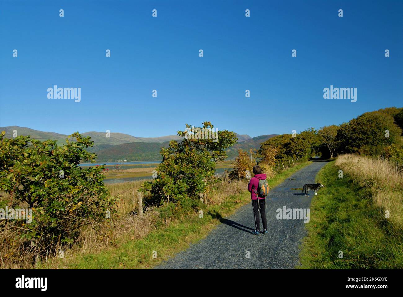 Mawddach railway trail in the snowdonia national park hi-res stock ...