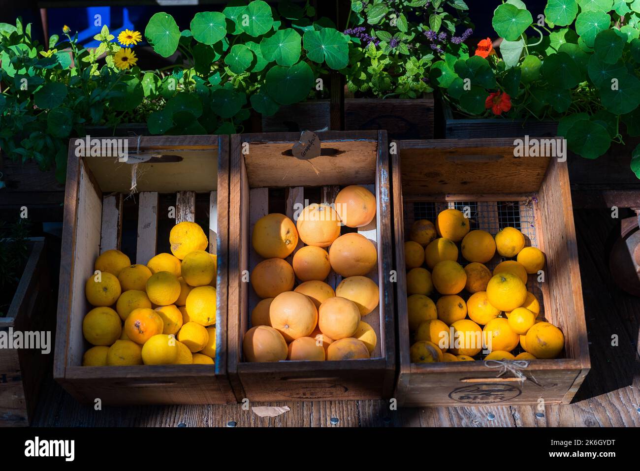 Grocery storefront hi-res stock photography and images - Alamy