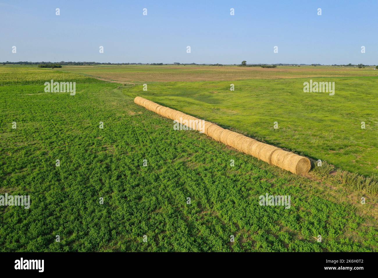 Grass bale, grass storage in La Pampa countryside, Patagonia,Argentina ...