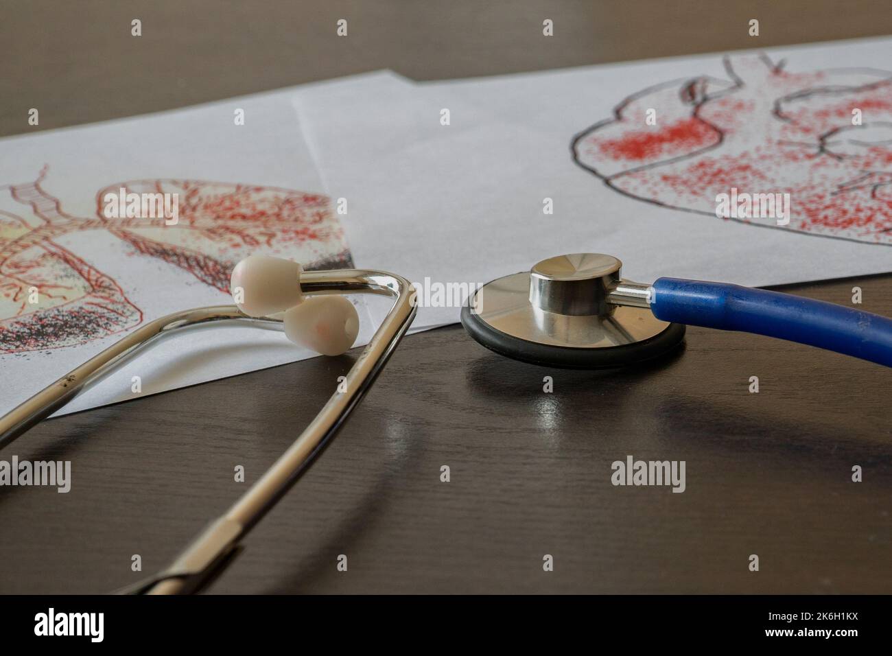 A stethoscope with medical illustrations of the respiratory and ...
