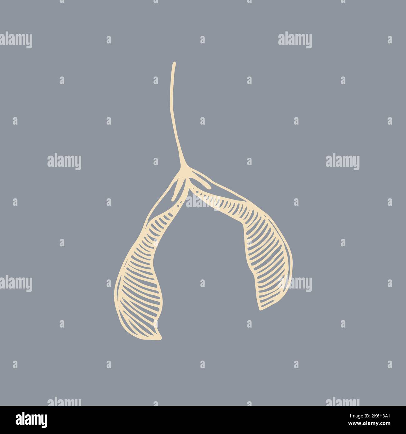 Helicopter transparent background Stock Vector Images - Alamy