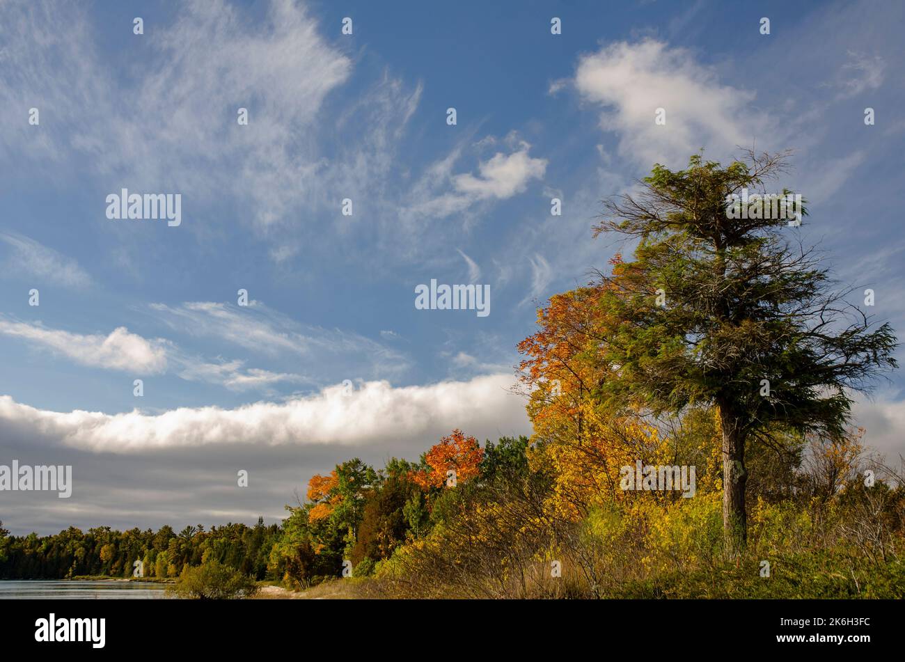 The shoreline of Newport Bay, Lake Michigan is dotted with bursts of ...