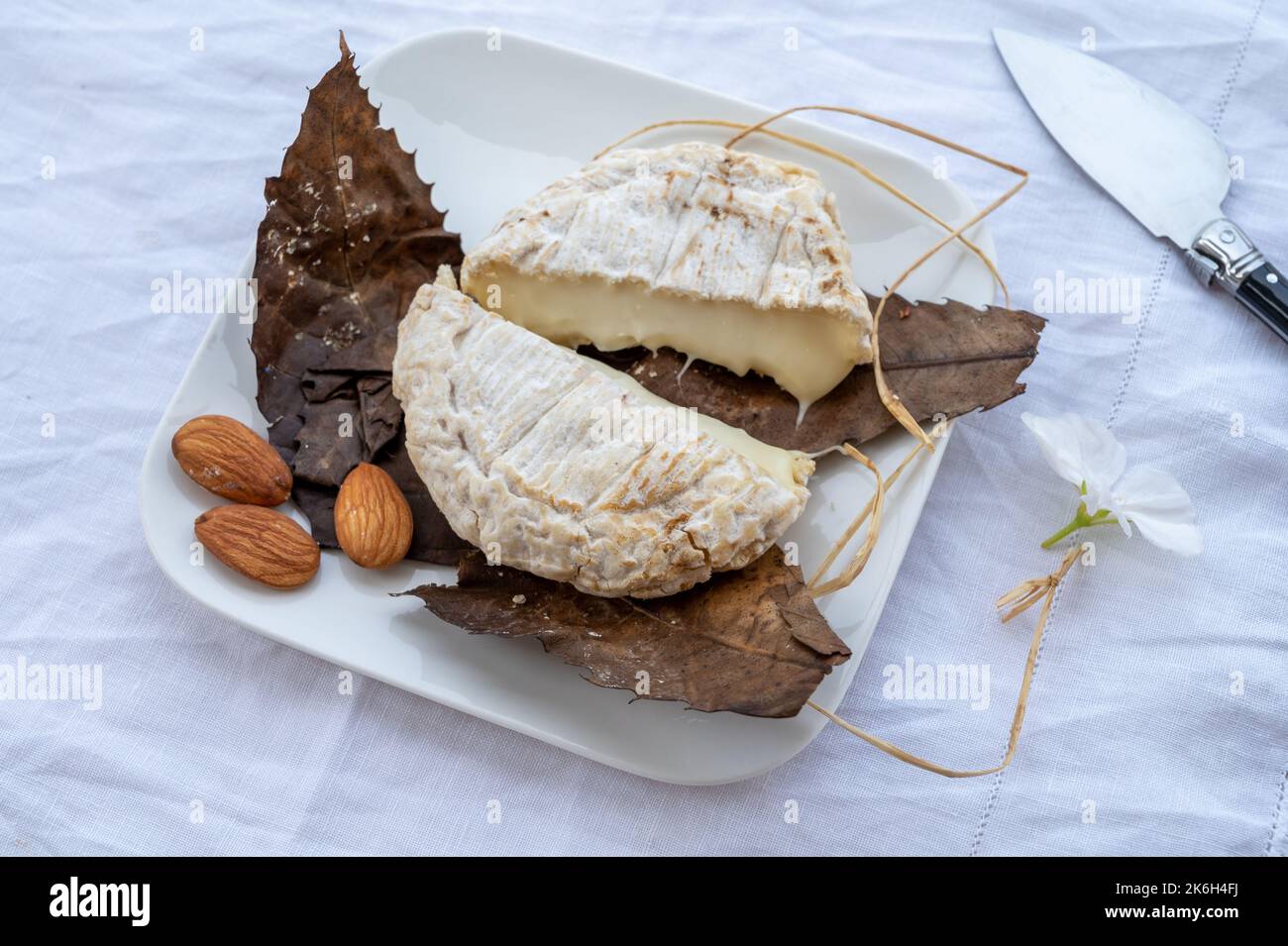 French mountains cheese banon made in Alpes-de-haute-provence wrapped ...