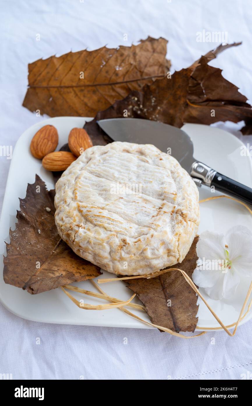 French mountains cheese banon made in Alpes-de-haute-provence wrapped ...