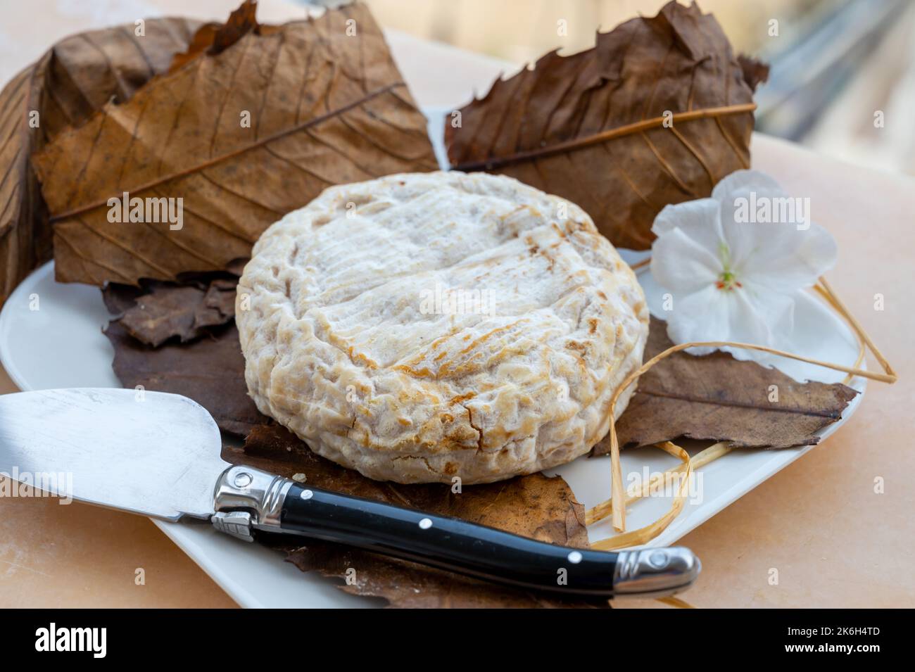 French mountains cheese banon made in Alpes-de-haute-provence wrapped ...